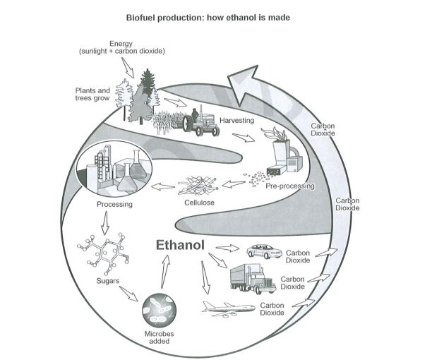 Giải đề IELTS Cambridge 19: Chi tiết Writing Task 1 [Test 3]
